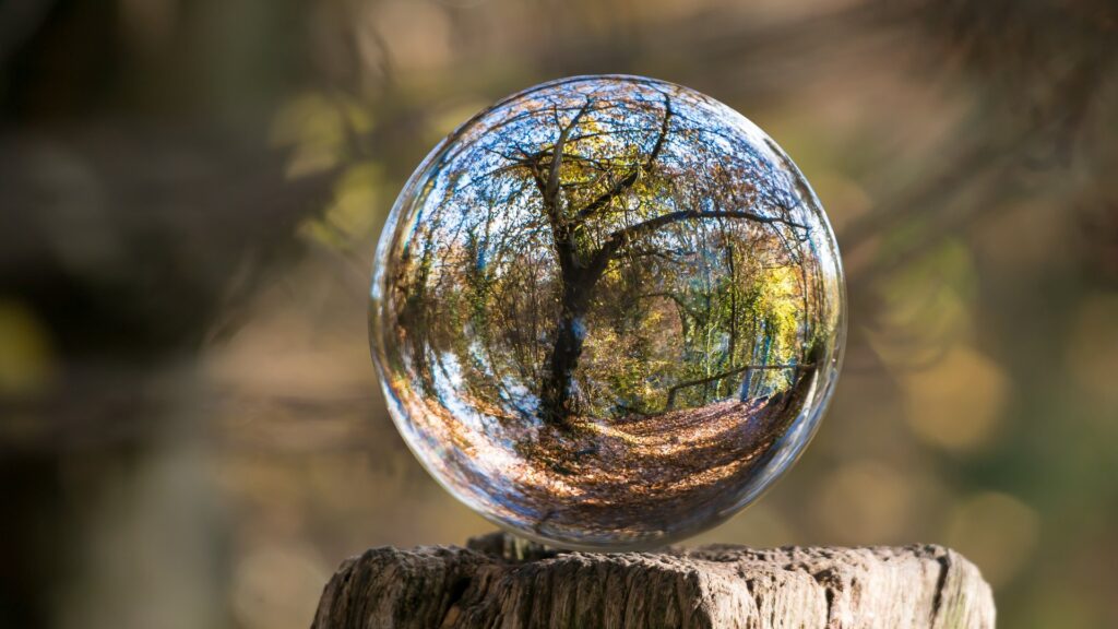 Commercial Art or Fine Art - Project 1231