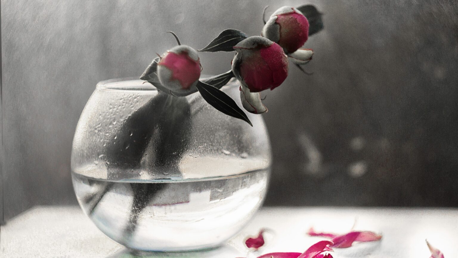 Six types of object photos you should know about - Project 1231